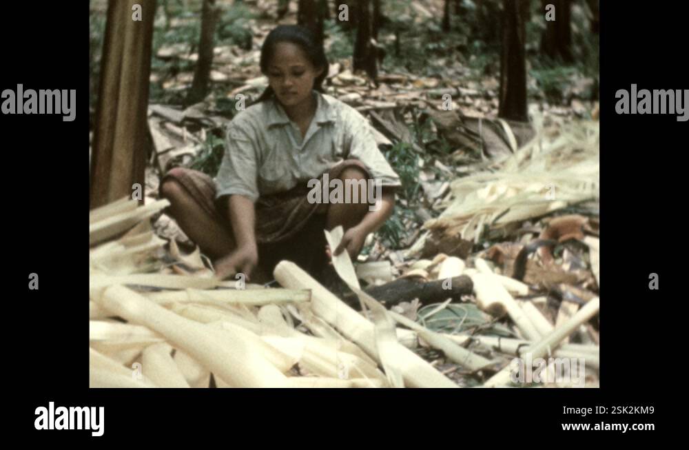 1960s: Woman on ground stripping hemp pieces Stock Video Footage - Alamy