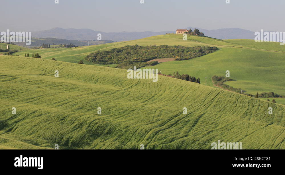 A lone farmhouse in the Val d'Orcia in Tuscany, Italy. Designated as a ...