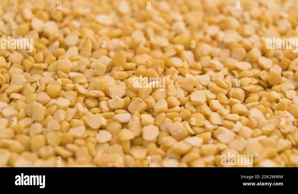 Yellow crushed dry fava beans falling in slow motion. Vegetable protein ...