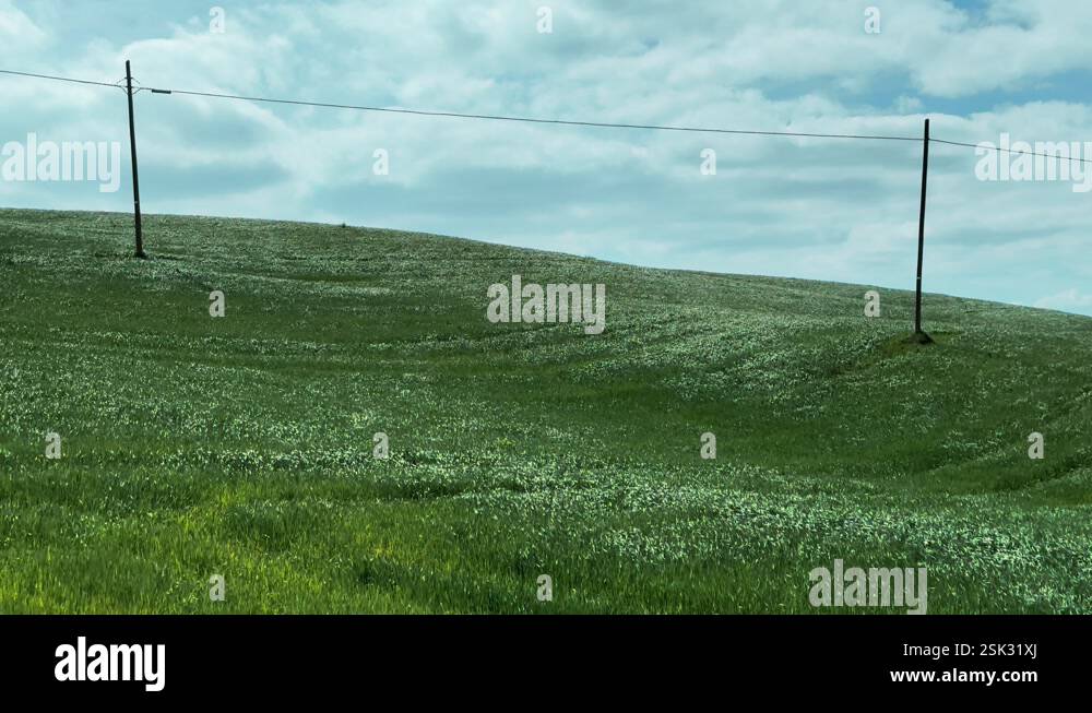 Farmland meadows with single wire electricity lines stretch along ...