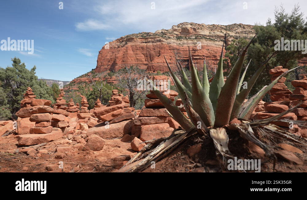 Red agave Stock Videos & Footage - HD and 4K Video Clips - Alamy