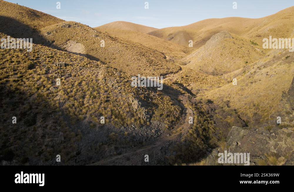 Dry, rolling hills at golden hour in New Zealand highlands; aerial fly ...