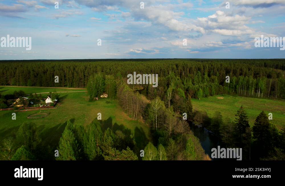 A huge green forest in Eastern Europe cut by a wild river Stock Video ...