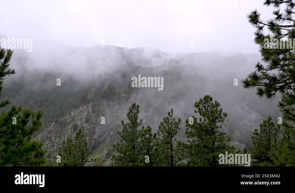 Mountain fog thin mist moves over rocky forested mountain, moody ...