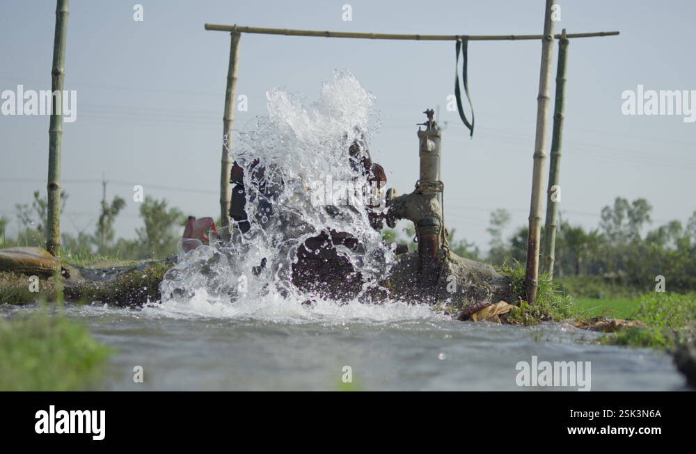 Water flushing from a water pump in paddy field- paddy field water pump ...