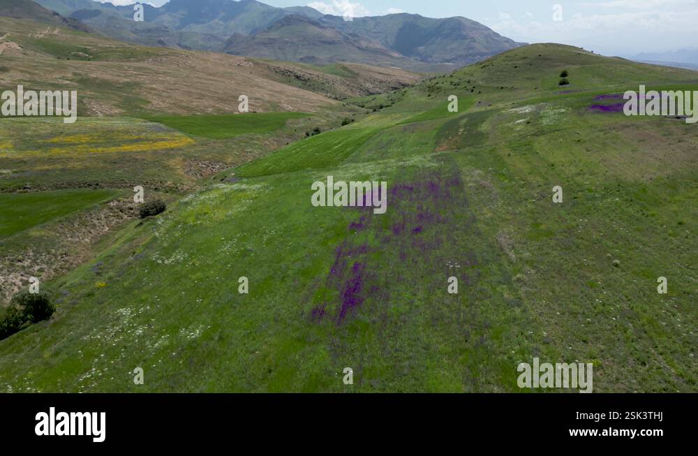 4k High definition drone video of the beautiful open green fields ...