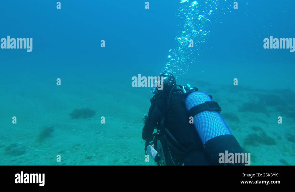 Scuba Diving - Scuba Diver With Gas Cylinder Swimming Under The Sea ...