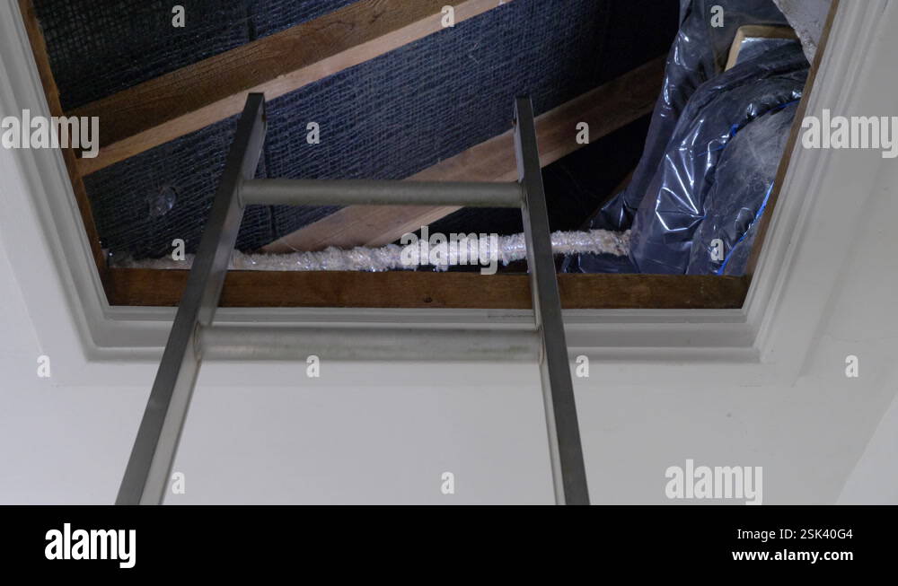 Raised hatch Stock Videos & Footage - HD and 4K Video Clips - Alamy