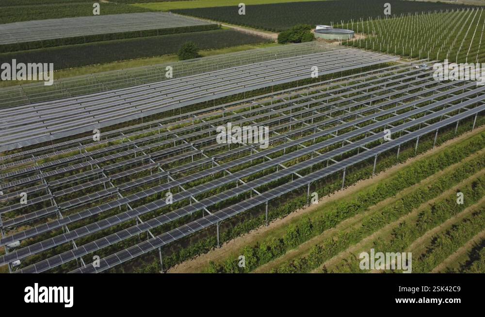 Agrivoltaics Solar Farm For Sustainable Food And Electricity-Production ...