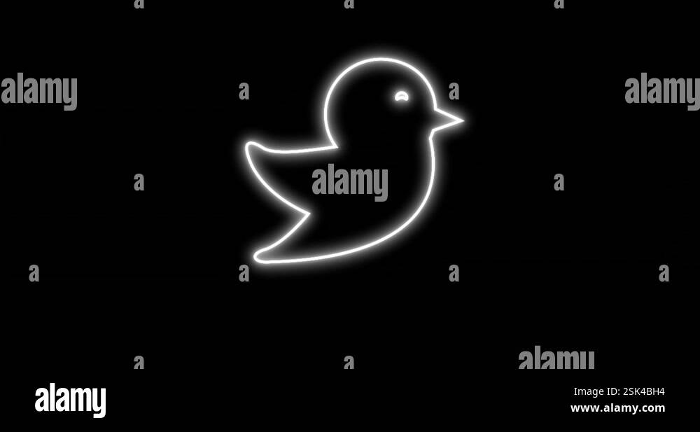 Animation of white neon bird icon flickering on black background Stock ...