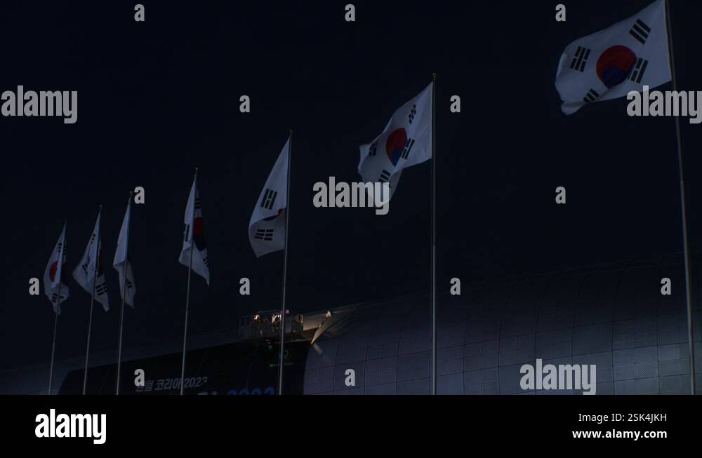 Dongdaemun plaza ddp South Korea city centre town urban national flags ...