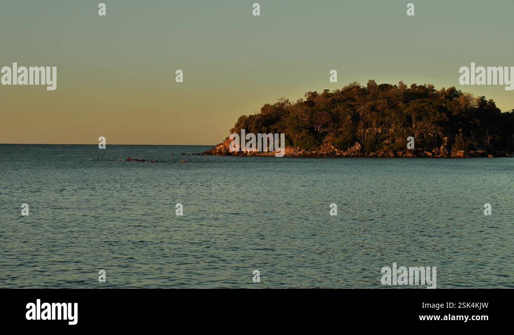 Sunset canoeists and Manly forest next to Shelly beach slow motion 4K ...