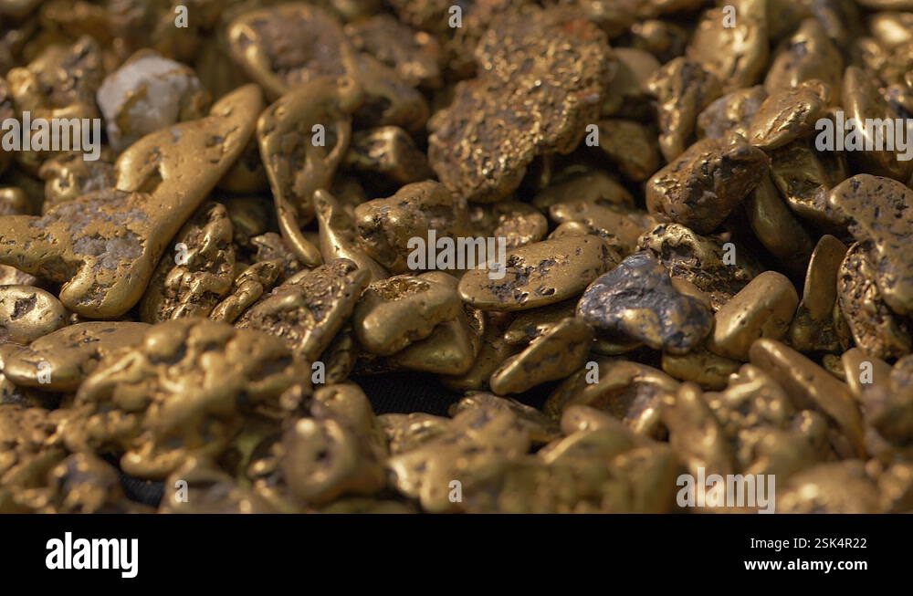 Looking at the extracted gold metal pieces extracted from the ore at ...
