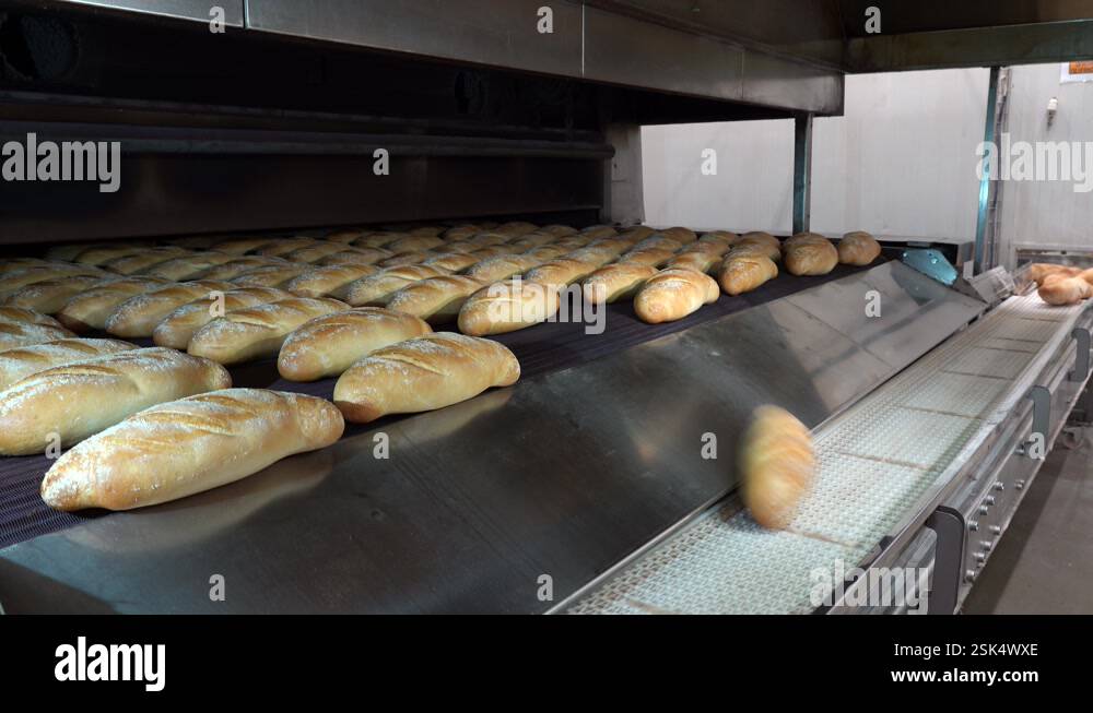 Hot Baked Bread Loaves Coming Out from Industrial Bread Baking Tunnel ...