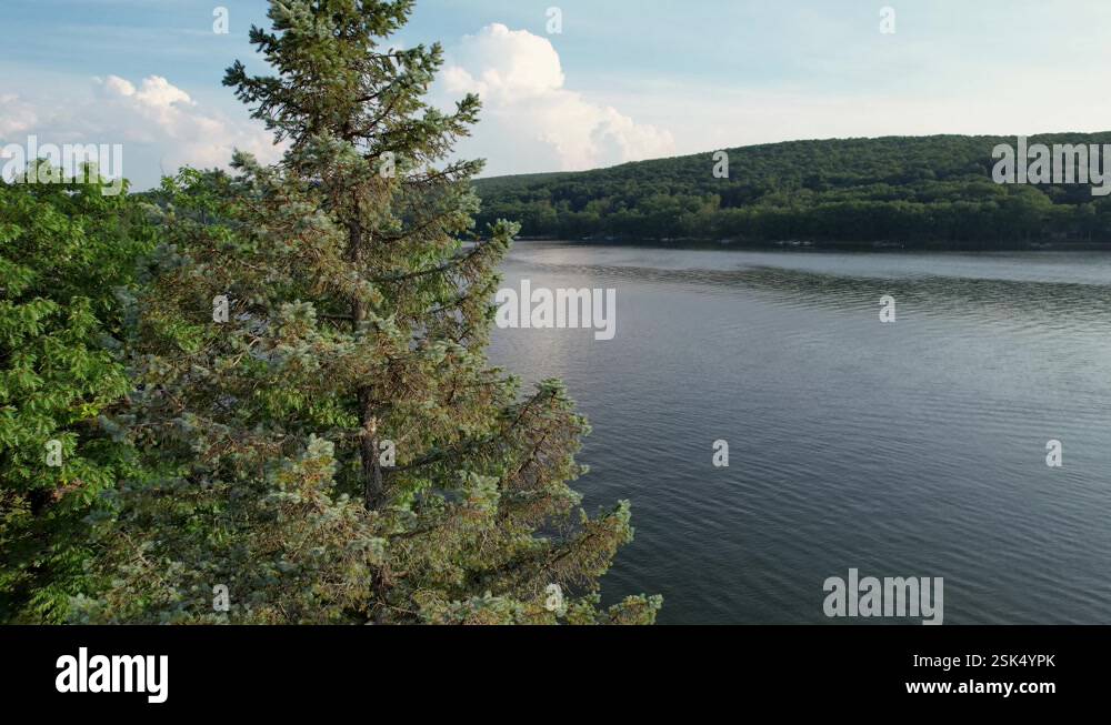 Rising drone shot of a pine tree foreground with Deep Creek lake ...