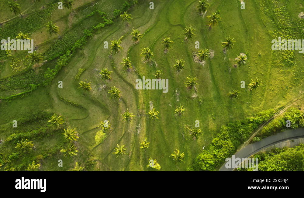 Exotic terrain Stock Videos & Footage - HD and 4K Video Clips - Alamy