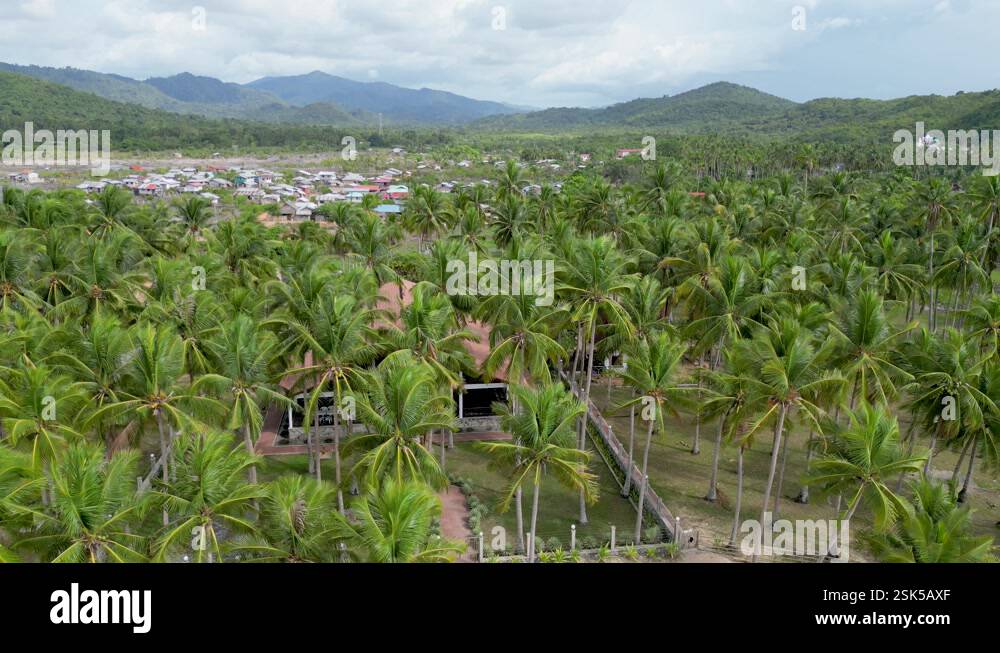 Tropical resort hidden behind palm trees of nacpan beach el nido ...