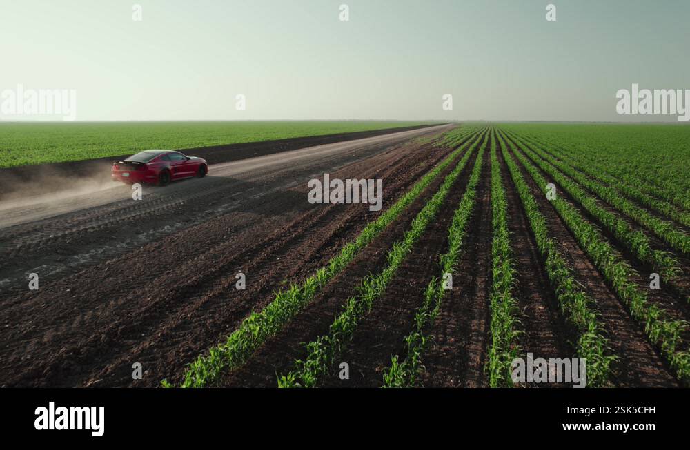 Cinematic aerial following red colored car moving along the road ...