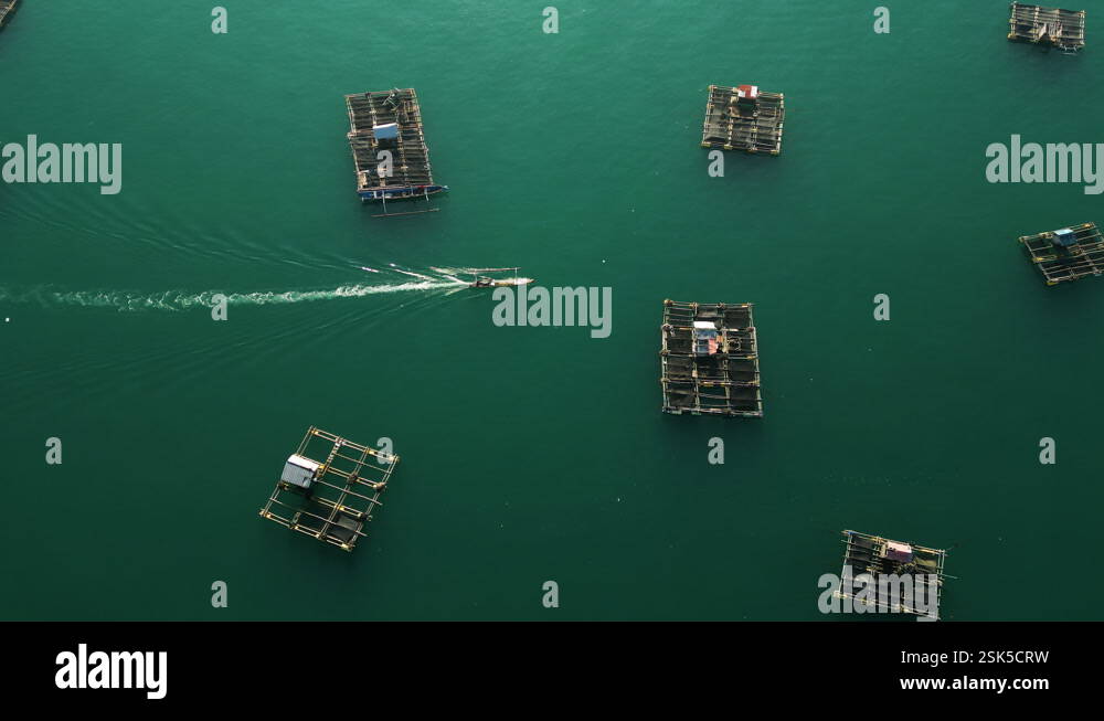 Overhead view of a fishing boat navigating through floating fish farms ...