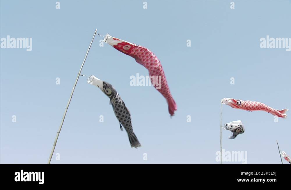 Carp streamers blowing in wind Stock Video Footage - Alamy