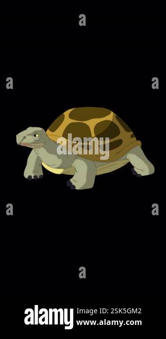Turtle. Handmade 2D animated HD footage isolated on alpha channel ...