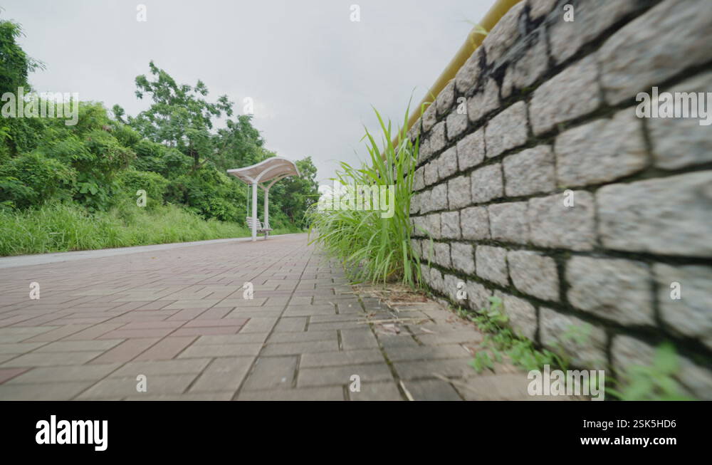 Ground-Level Journey: Pov Movement Close to Grass and Pavement in Slow ...