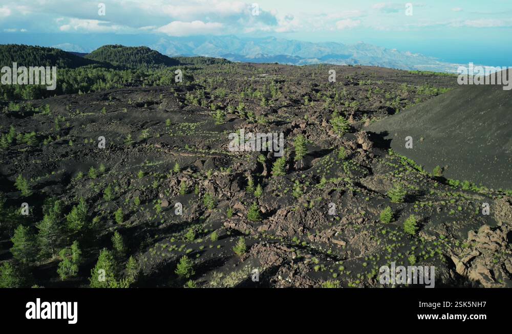Ascending on lunar landscape with forest ecosystem, near volcano Stock ...