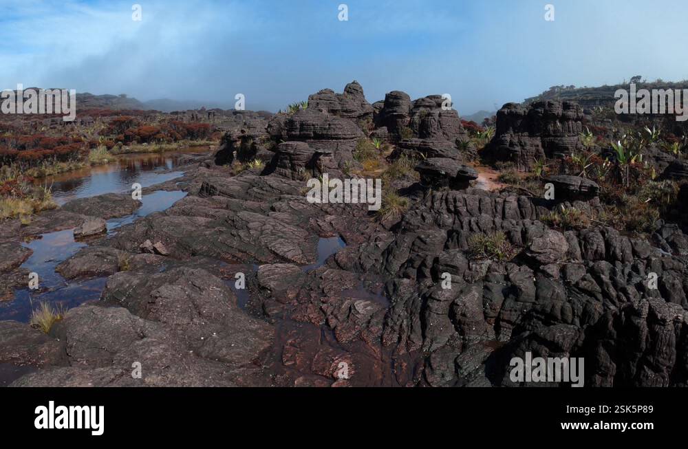 POV hiking on flat topped area of Mount Roraima with black rock ...