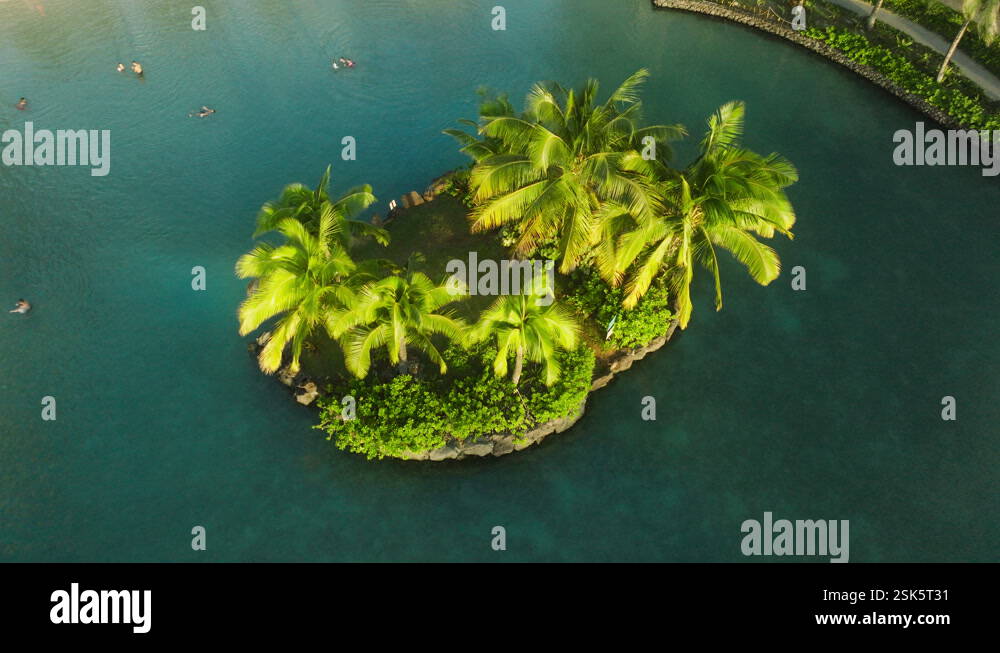 People on vacation Hawaii, Top view island with palm trees in blue ...
