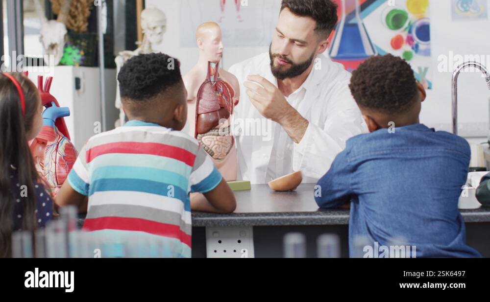Diverse male teacher and happy schoolchildren studying model of human ...