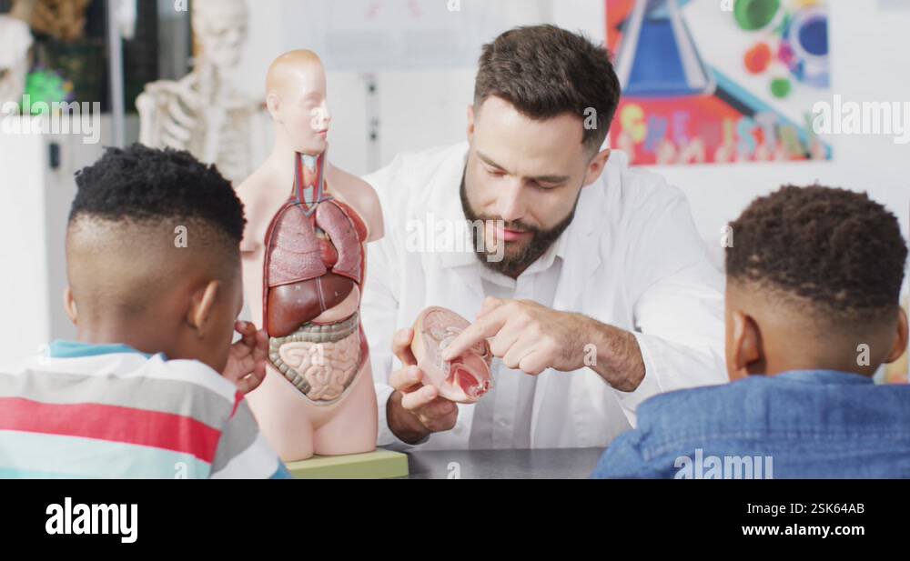 Diverse male teacher and happy schoolchildren studying model of human ...