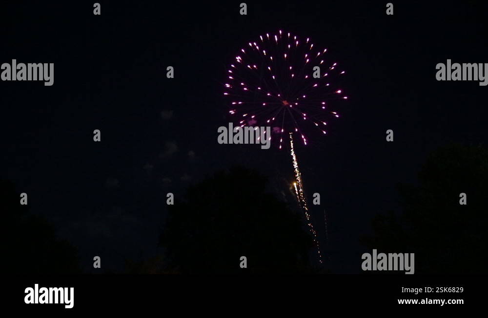 Large shells Stock Videos & Footage - HD and 4K Video Clips - Alamy