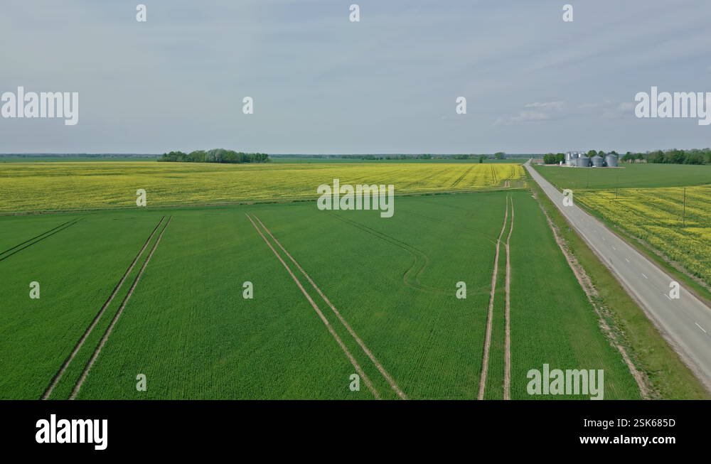 Green field farm along the road towards the horizon, closeup aerial ...