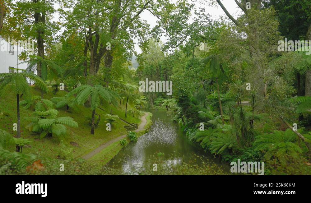 PushOut Reveal of small River at Terra Nostra Park, São Miguel, Azores ...