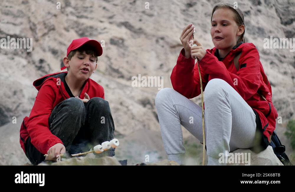 Fire made twigs from Stock Videos & Footage - HD and 4K Video Clips - Alamy