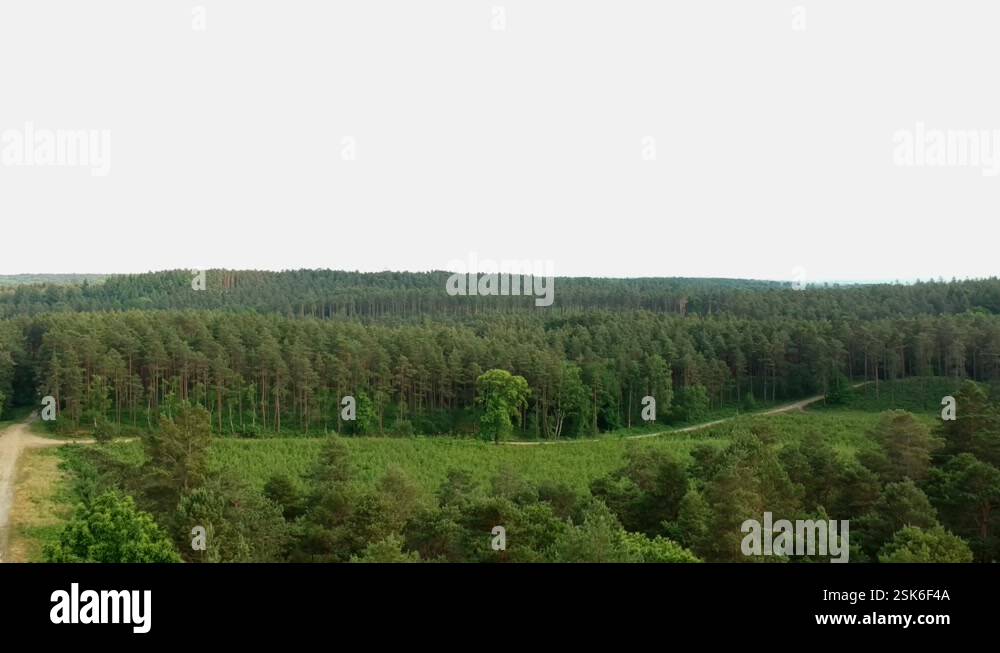 The long pathway Stock Videos & Footage - HD and 4K Video Clips - Alamy