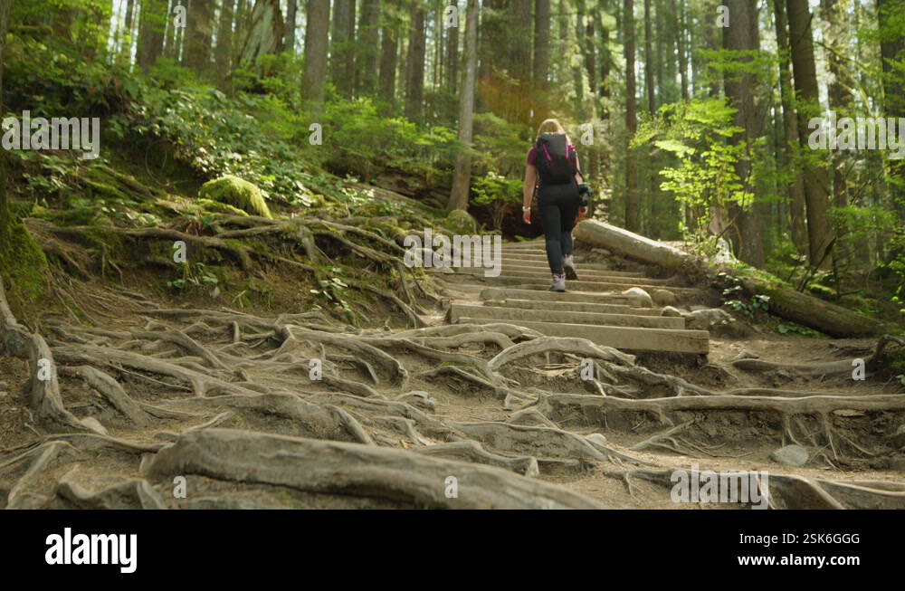 Woman climbing steps on steep trail in Lynn Canyon Park. Handheld ...