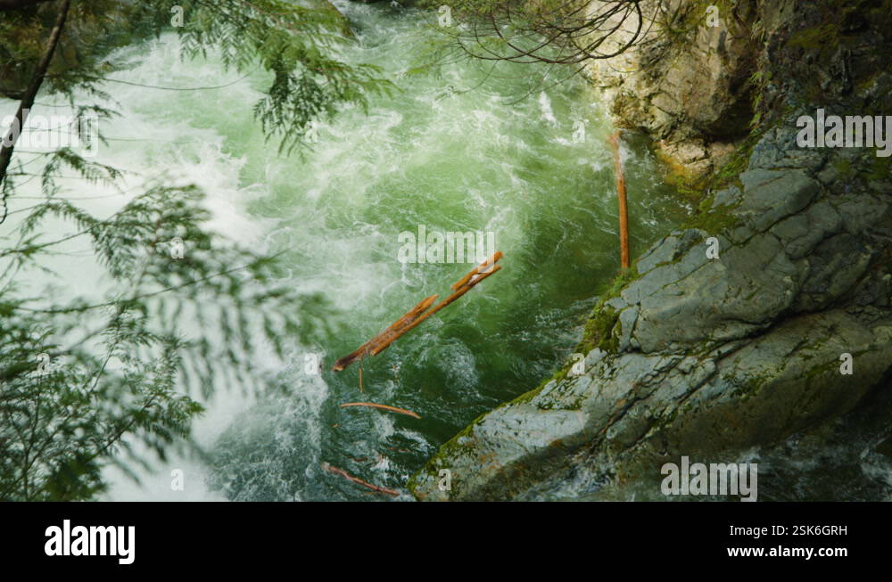 Tree trunks floating down waterfall, Lynn Canyon Park. Handheld, high ...