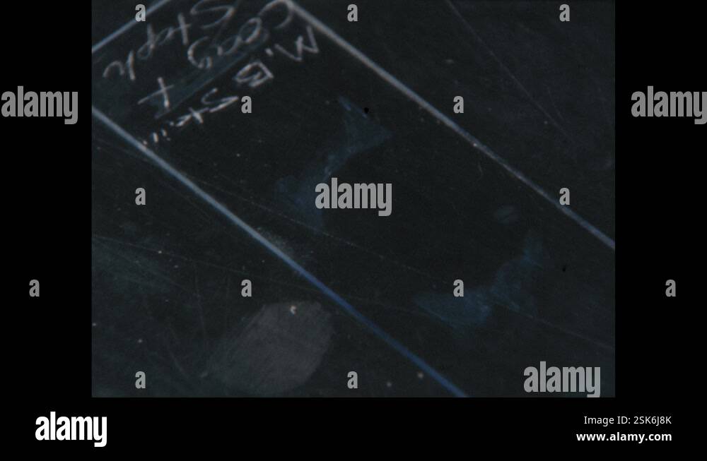1960s: Hand sits labeled microscope slides on table Stock Video Footage ...
