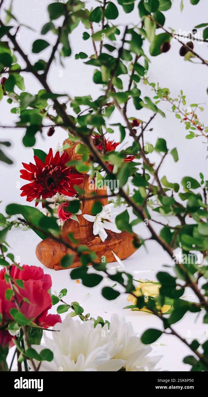 Holly tree branch leaves Stock Videos & Footage - HD and 4K Video Clips ...