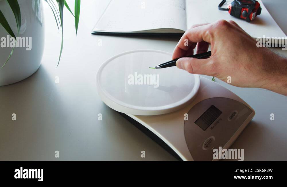 Weighing procedure Stock Videos & Footage - HD and 4K Video Clips - Alamy