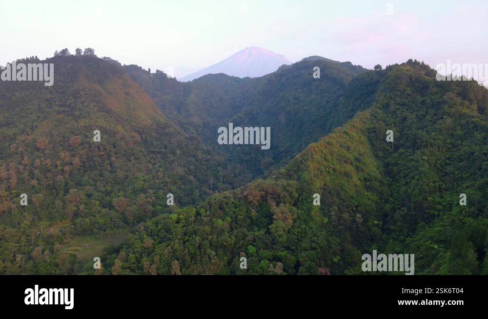 Tropical forested hill with big volcano in background in Indonesia ...