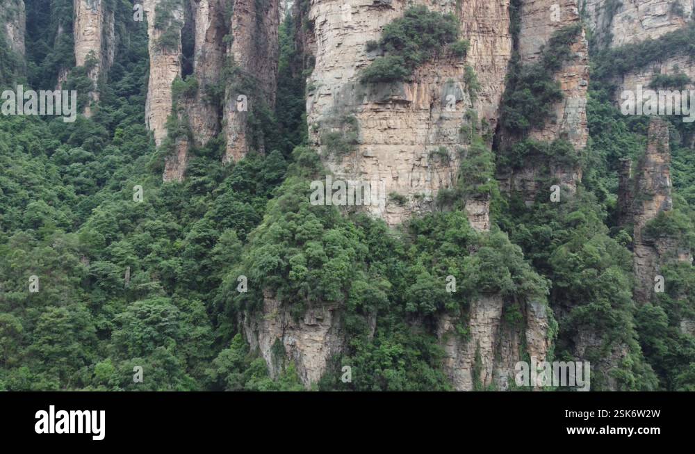 Slow Aerial Rise Above The Scenic Forests Of Avatar's Heavenly Pillars ...
