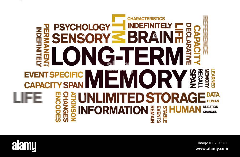 Long-Term Memory animated word cloud,animation kinetic typography ...