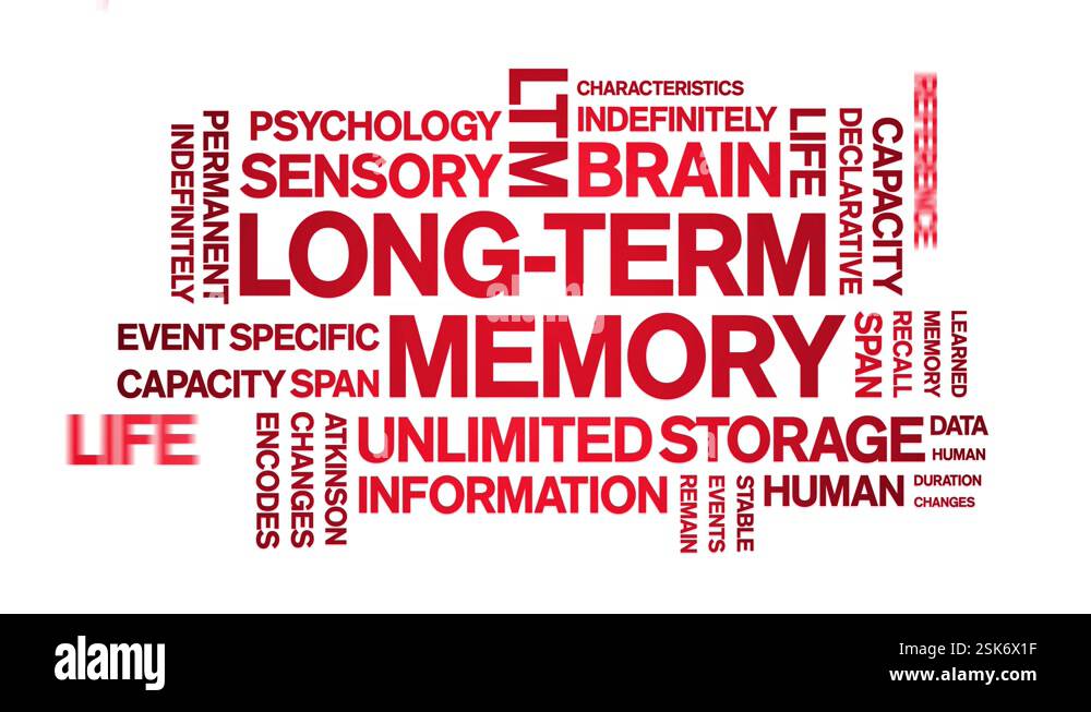 Long-Term Memory animated word cloud,animation kinetic typography ...