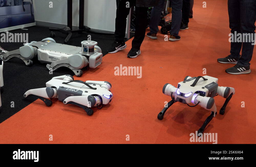 A quadruped dog robot performs a summersault at the IEEE Robotics and ...