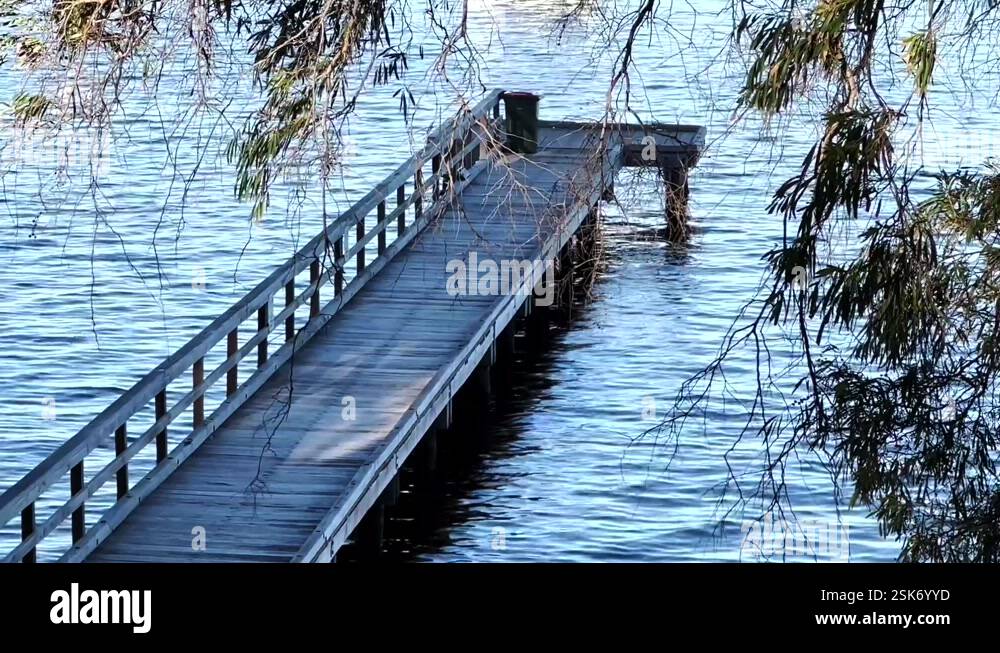 Looking through branches of Long Jetty on Swan River at Peppermint ...