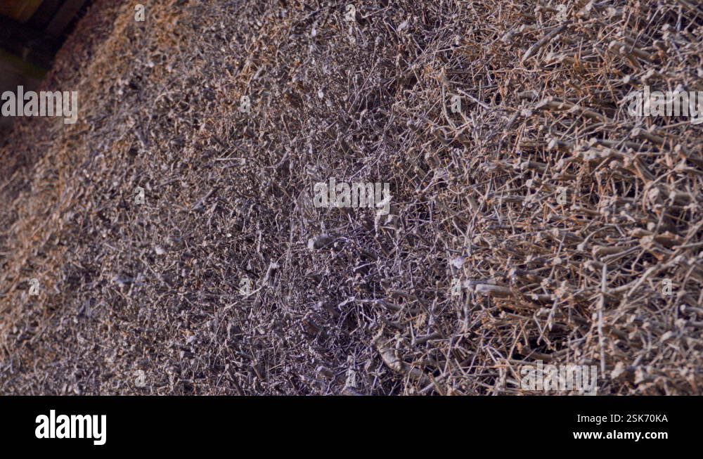 Graduation Tower: Slow Motion Salt Production with Water Droplets ...