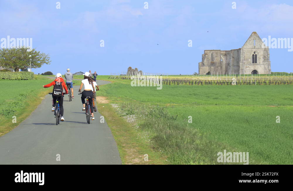 Tourists riding bicyclicles on a bike path on the Ré island Stock Video ...