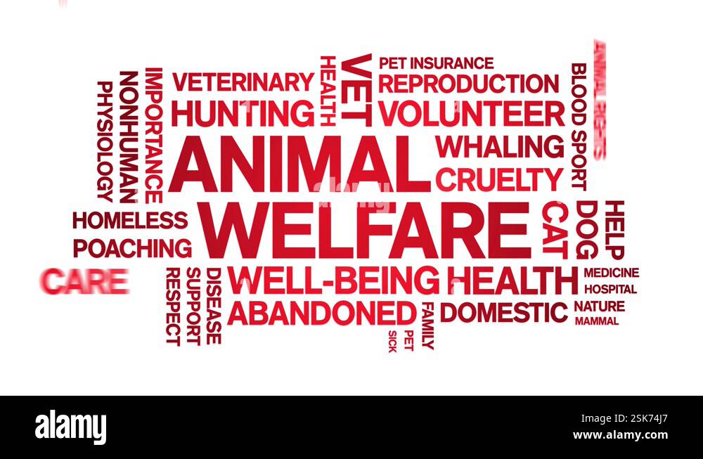 Animal Welfare animated word cloud,animation kinetic typography ...